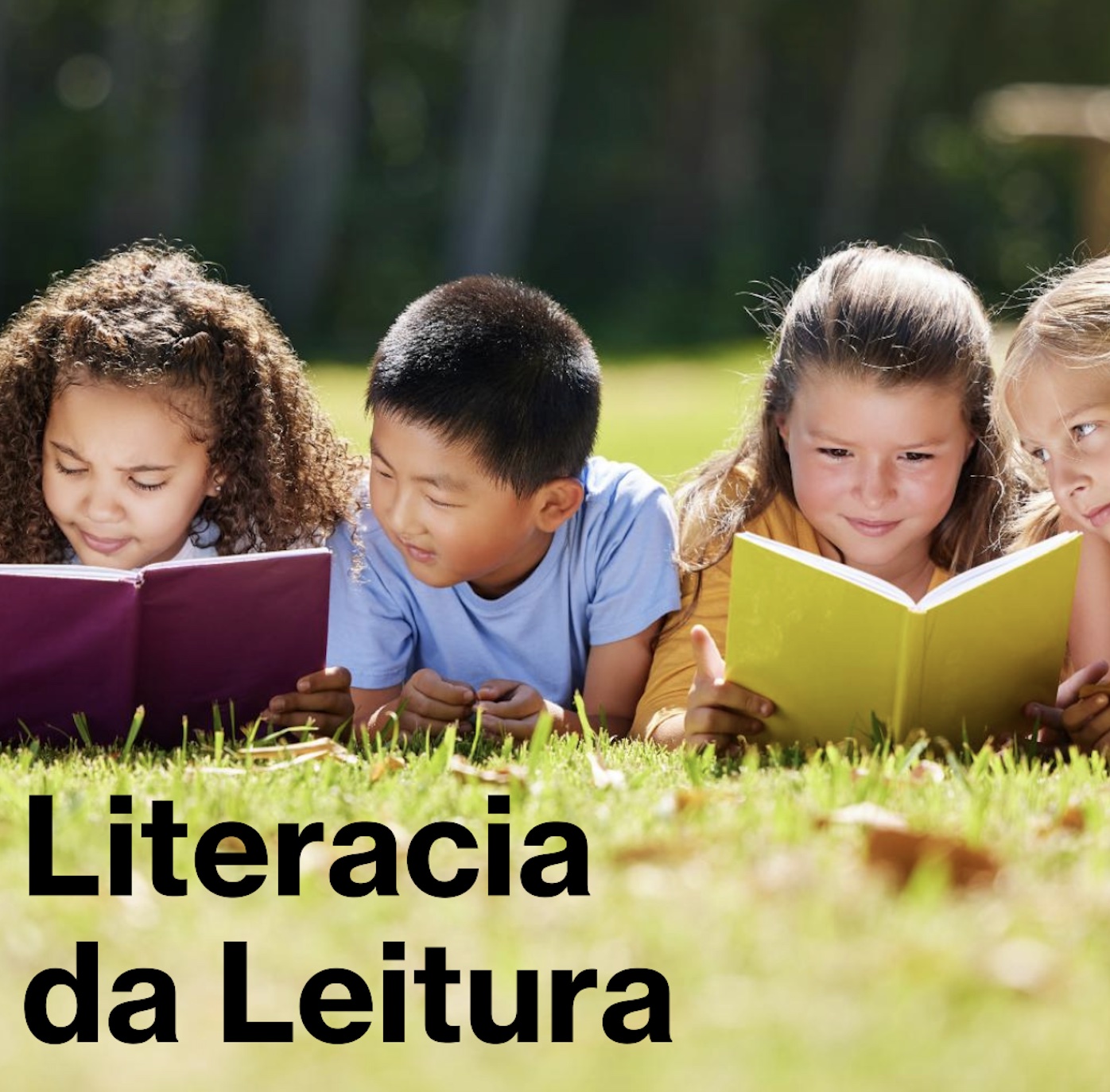 Literacia da leitura - REDE REGIONAL DE BIBLIOTECAS ESCOLARES